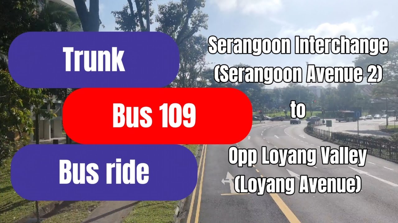Trunk bus 109 (bus ride) - YouTube