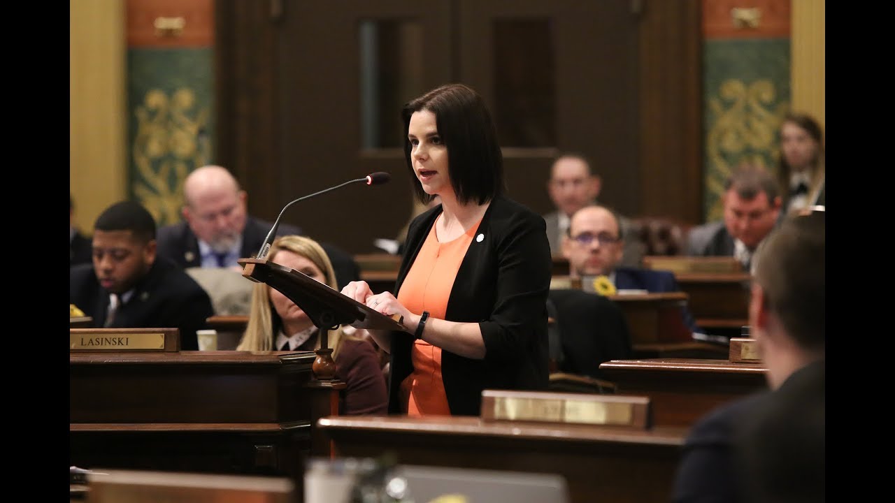 Rep. Laurie Pohutsky Opposes putting Michigan’s Natural Resources in ...