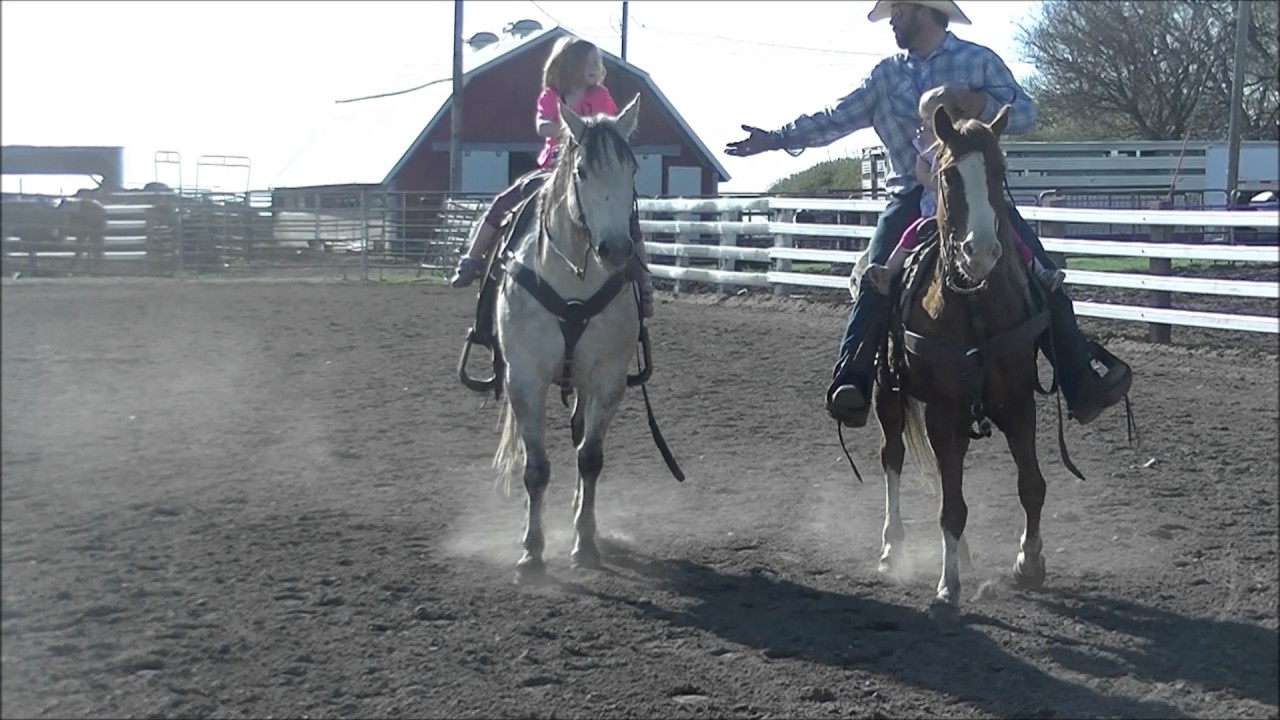 NEW Full House Horse Sale - EASY - Kruger Performance Horses - YouTube