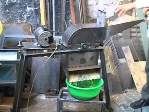 MOLIENDA DE OLOTE - YouTube