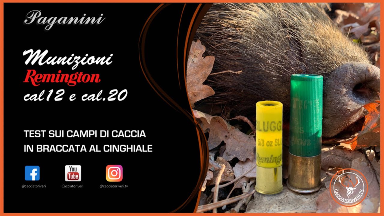 MUNIZIONI REMINGTON CAL.12 E CAL.20: Prova a caccia - YouTube