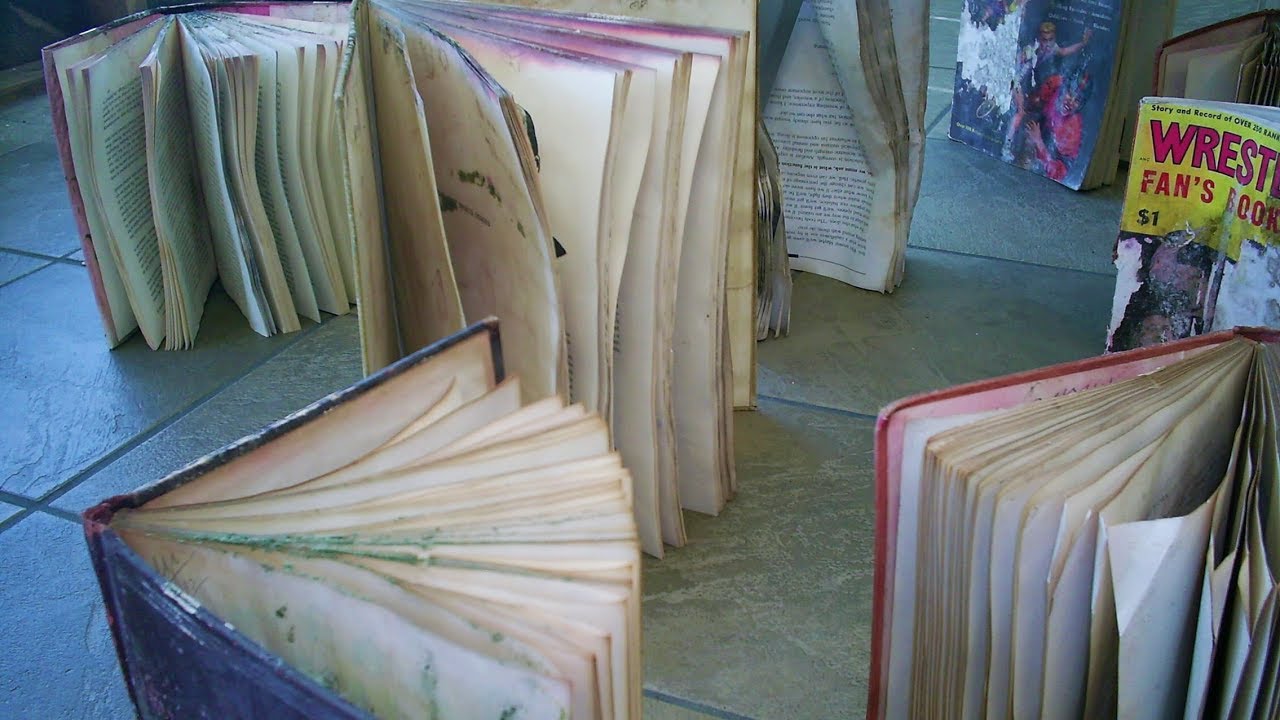 Wet Recovery of Paper and Books - YouTube
