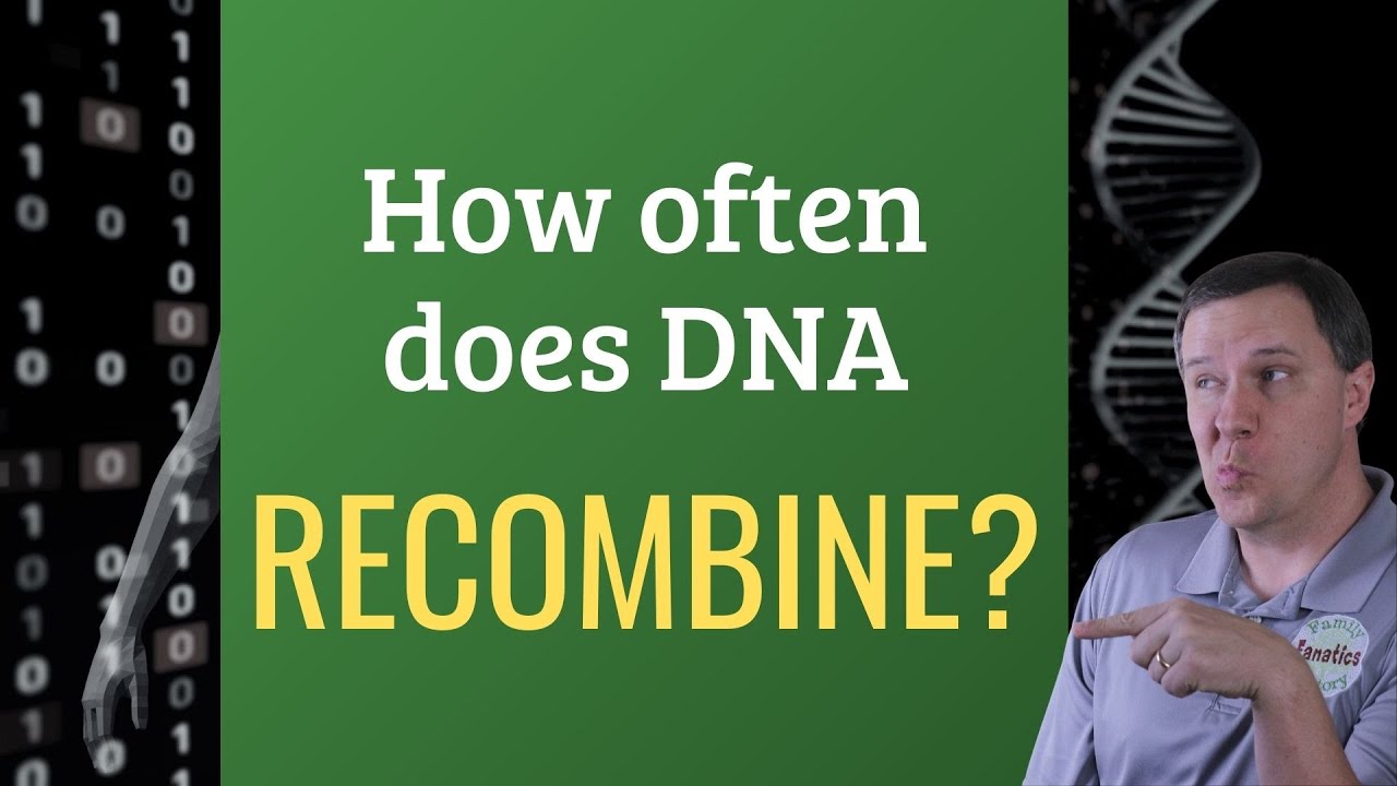 How often does DNA recombine? | Genetic Genealogy Explained - YouTube