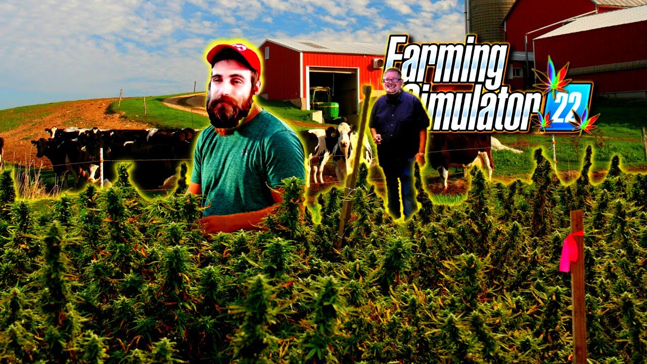 Cannabis And Hemp Still Growing... Whats A Farmer To Do..: - Farming ...