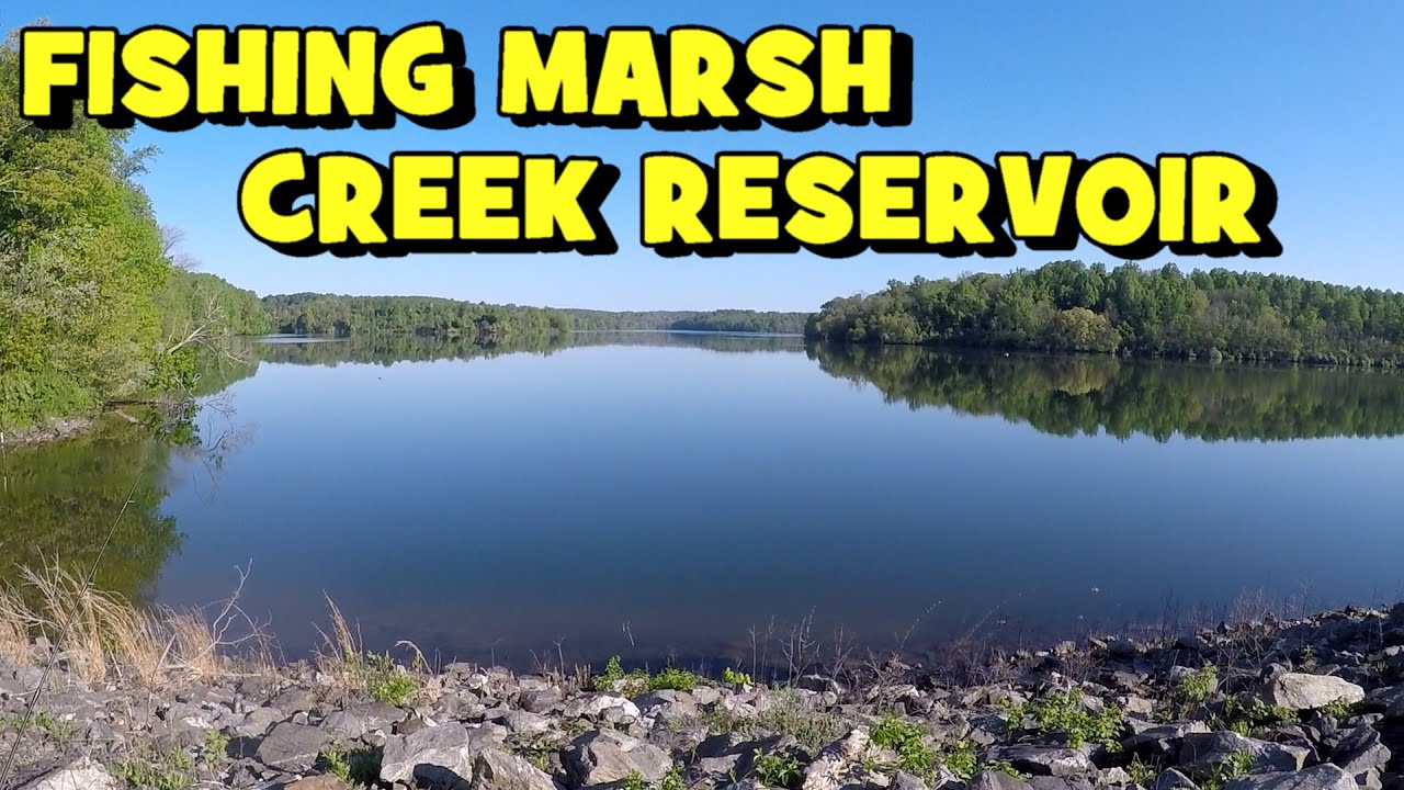 MULTI-SPECIES Fishing MARSH CREEK RESERVOIR! (ft. 1Rod1ReelFishing ...