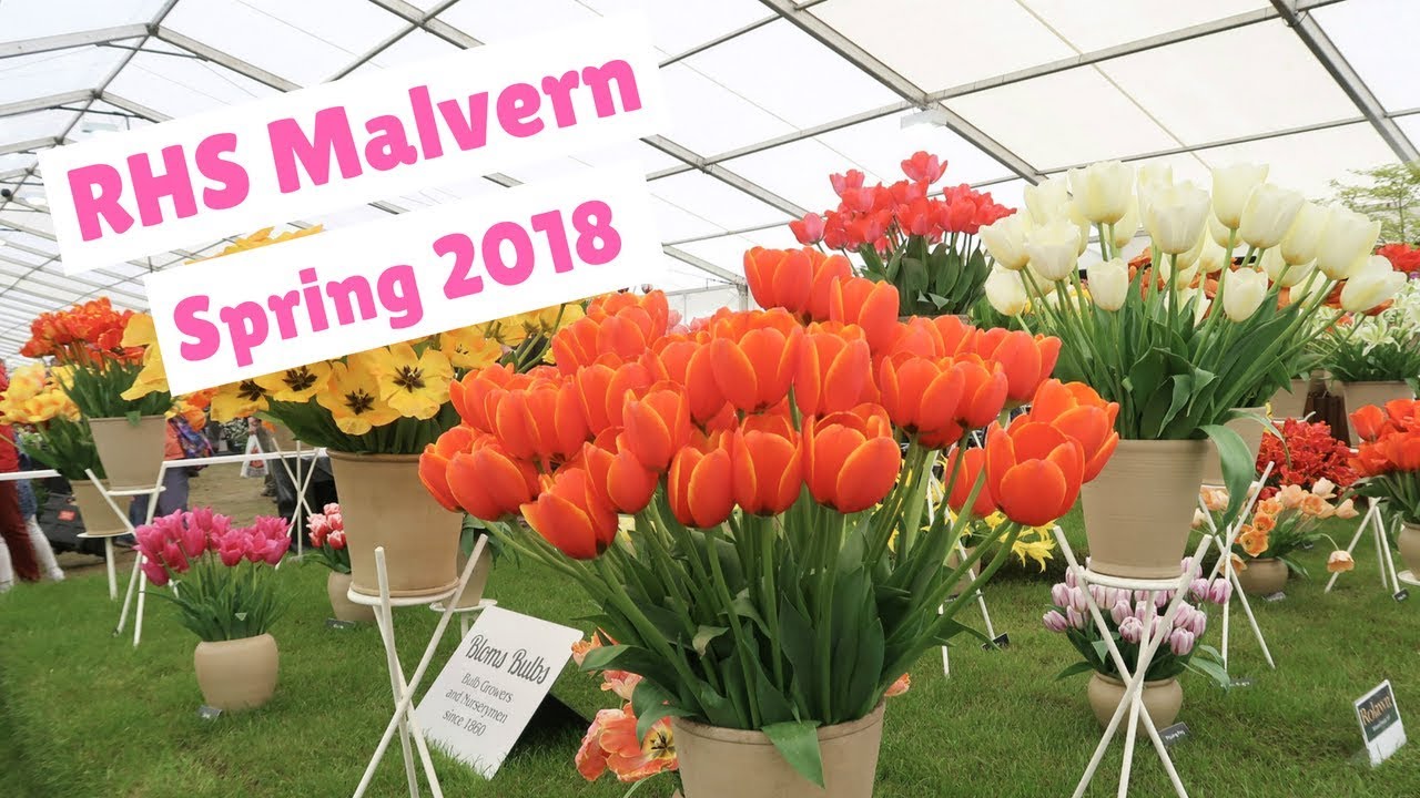 RHS Malvern Spring Festival 2018: Stars of the Floral Marquee - YouTube