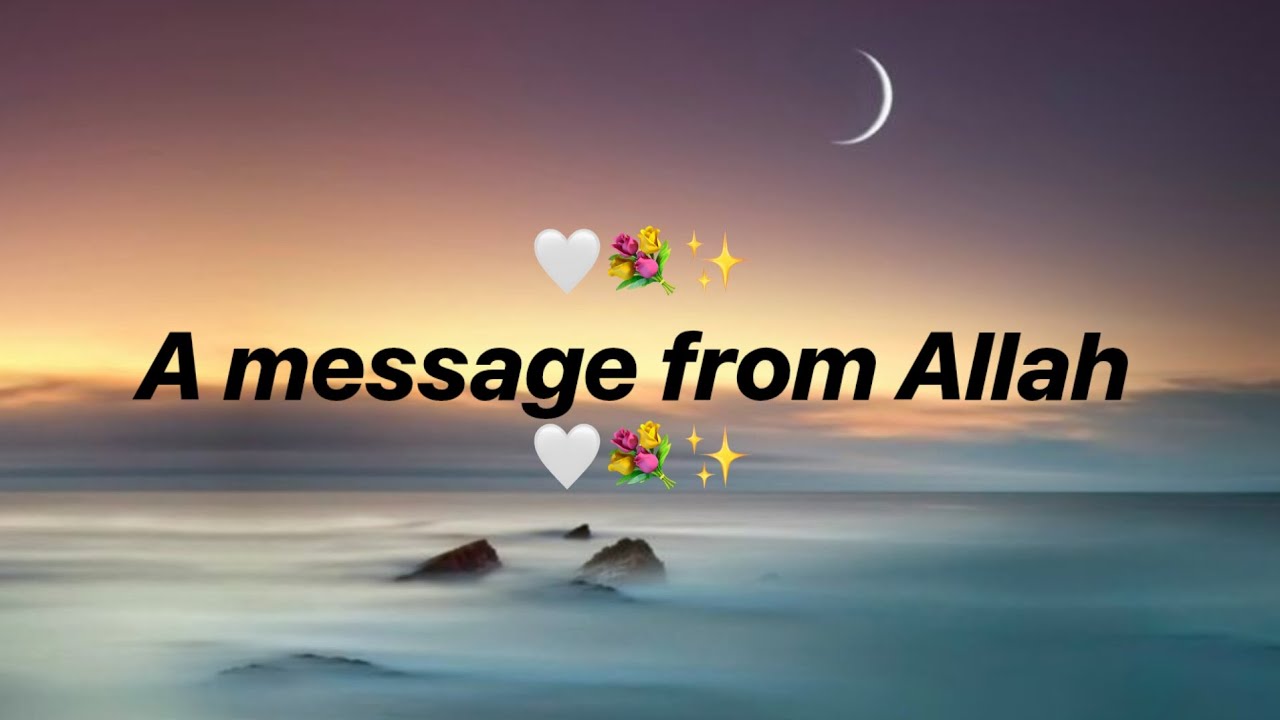 A message from Allah 🤍 ️ | Allah's Sign for you - YouTube