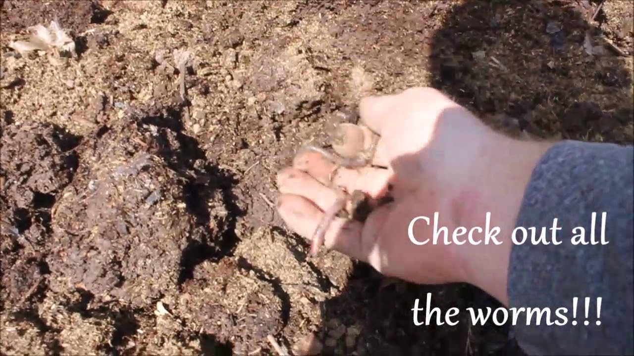 Best Broadfork Demo | How to use a Treadlite Broadfork - YouTube