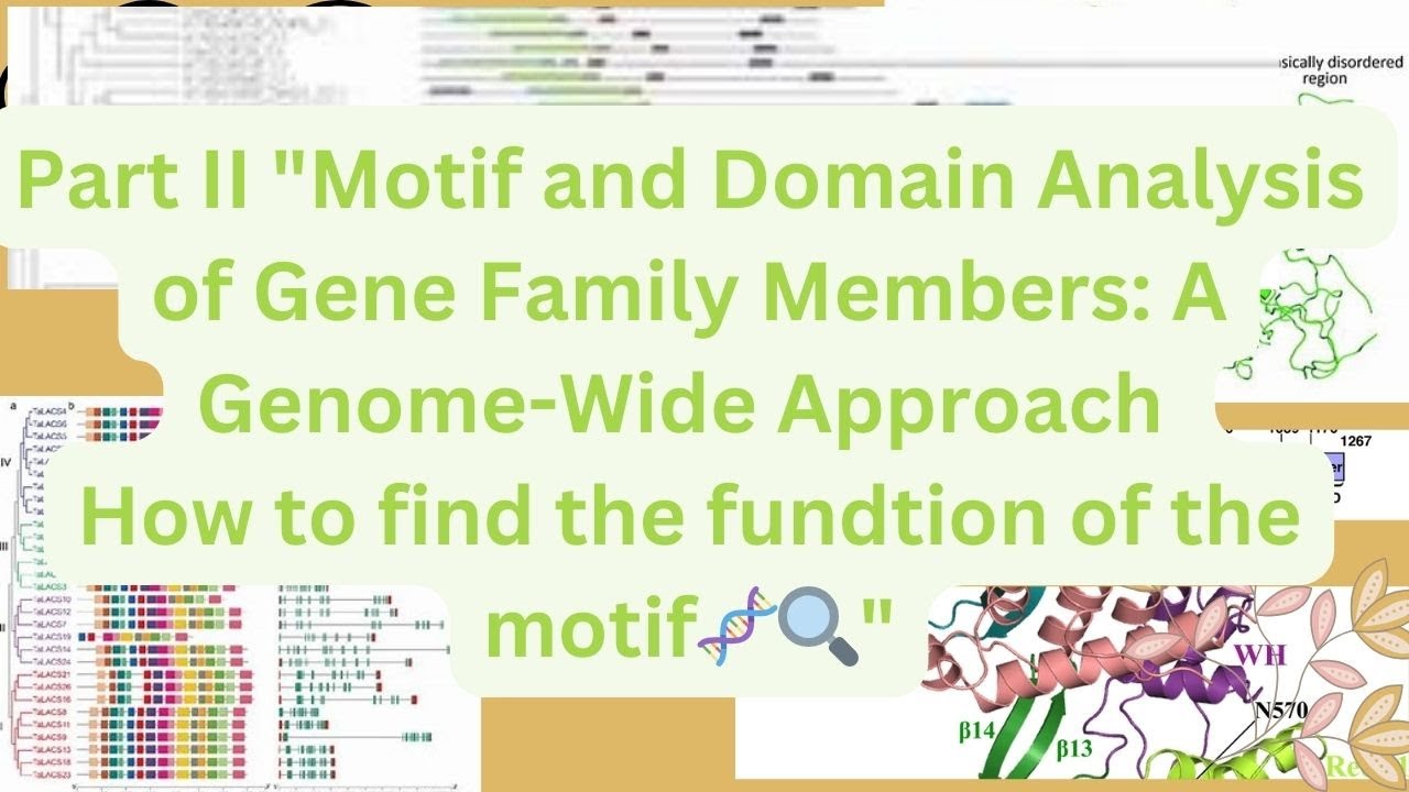 Part II Motif and Domain Analysis of Gene Family Members: How to Find ...