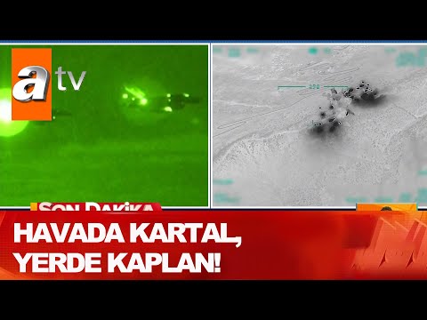 Havada kartal, yerde kaplan! - Atv Haber 17 Haziran 2020