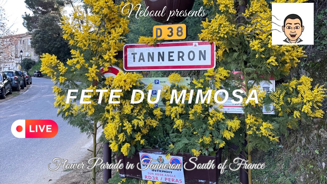 Fete du Mimosa Live in Tanneron Village in the South of France - YouTube