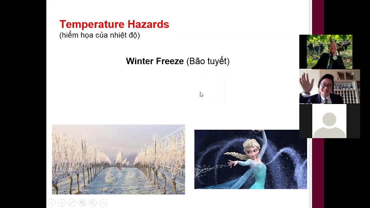 SSA Virtual Seminars: Temperature - YouTube