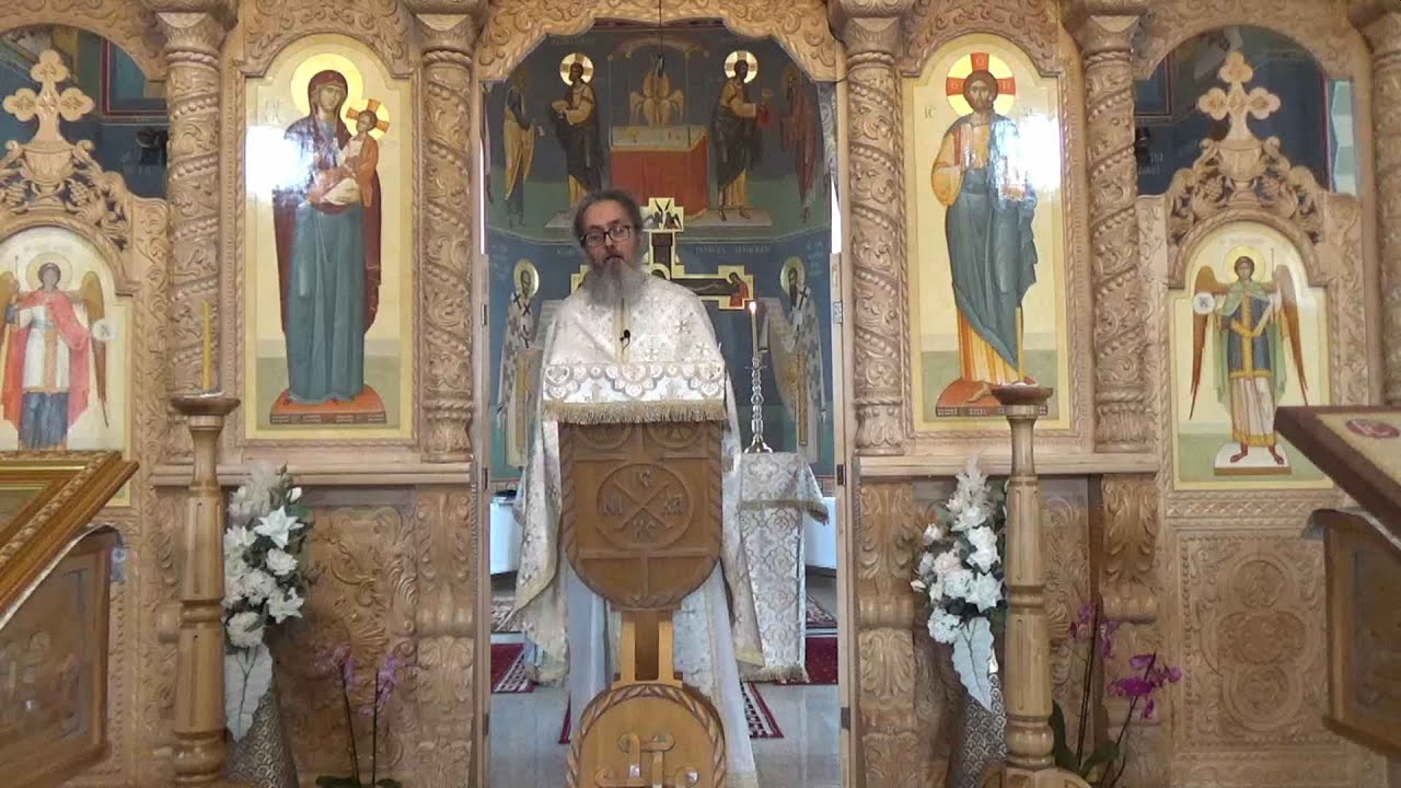 Pr. Dan Popovici – Puterea mijlocirii Maicii Domnului. Fotograful din ...