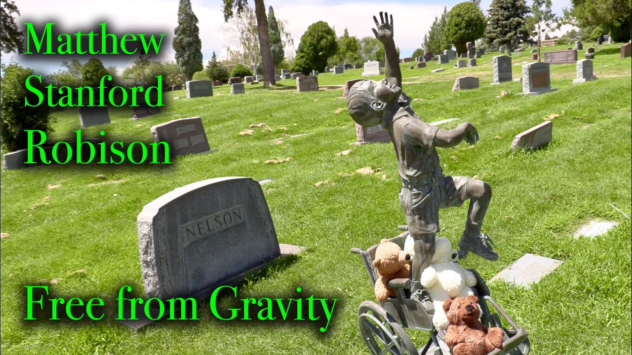 SET FREE IN HEAVEN - The Inspiring Story of Matthew Robison, in Salt ...