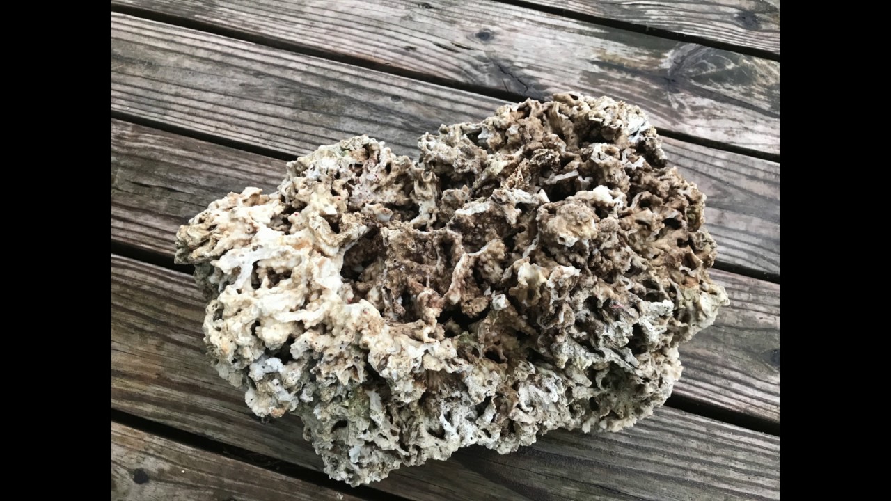 New Rock for New Build - Lets Rock This - Bulk Reef Supply BRS Jumbo ...