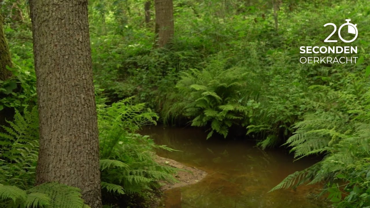 20 seconden Oerkracht - deel 15 - YouTube