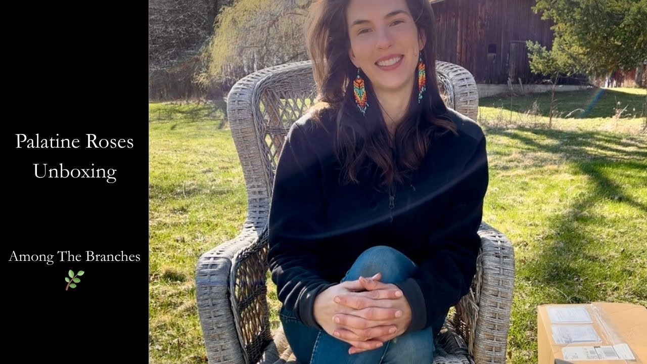 🌿 2025 Palatine Roses Unboxing! | Rose Unboxing Series #1 | Among The ...