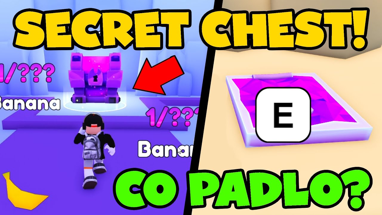 SECRET CHEST a KEY 😱 TAJNÁ MÍSTNOST a tohle mi padlo 🤑 Pets Go! - YouTube