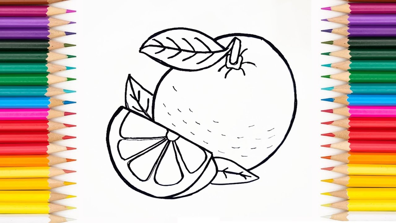 How to draw orange fruit 🍊 | easy orange fruit drawing - YouTube