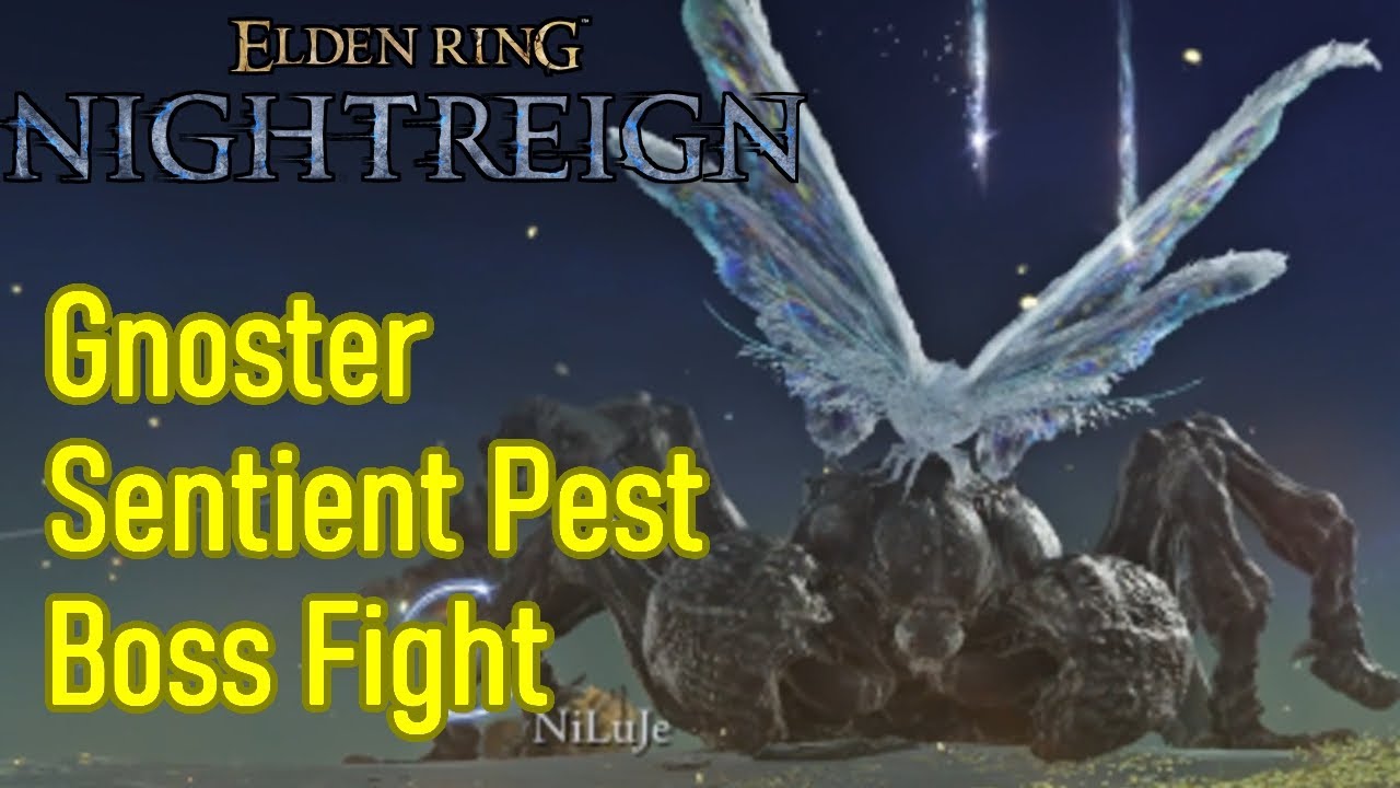 Elden Ring Nightreign Gnoster, Wisdom of Night boss fight, Recluse ...