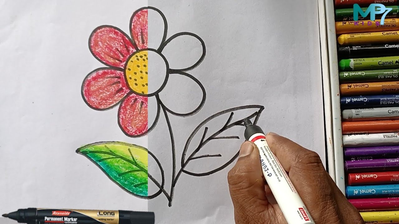 How to Draw a Flower Step by Step | Flower Drawing Lesson | How to Draw ...
