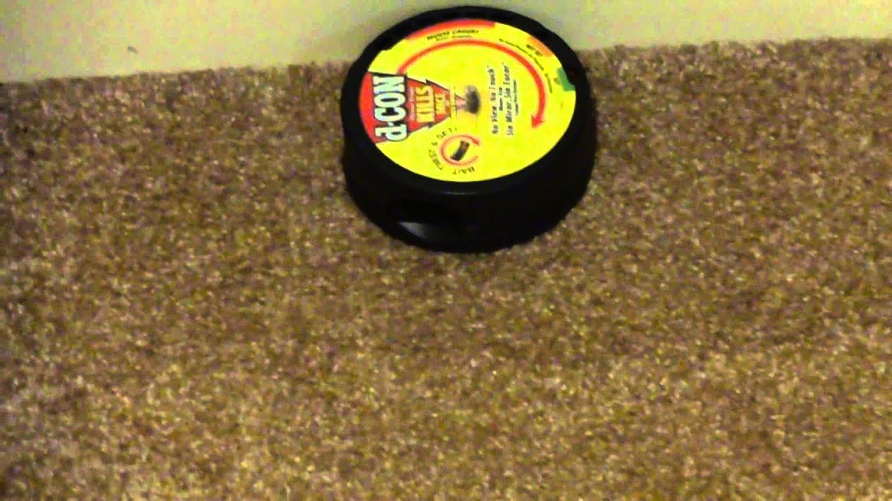 d con no view no touch mouse trap sucks - YouTube