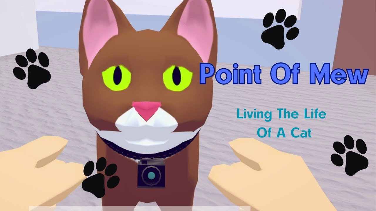 Point Of Mew - Living the Life of a Cat - YouTube