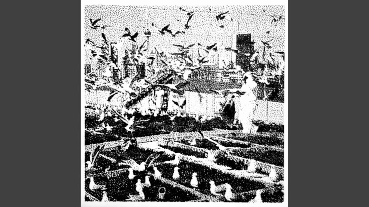 Gull Song - YouTube