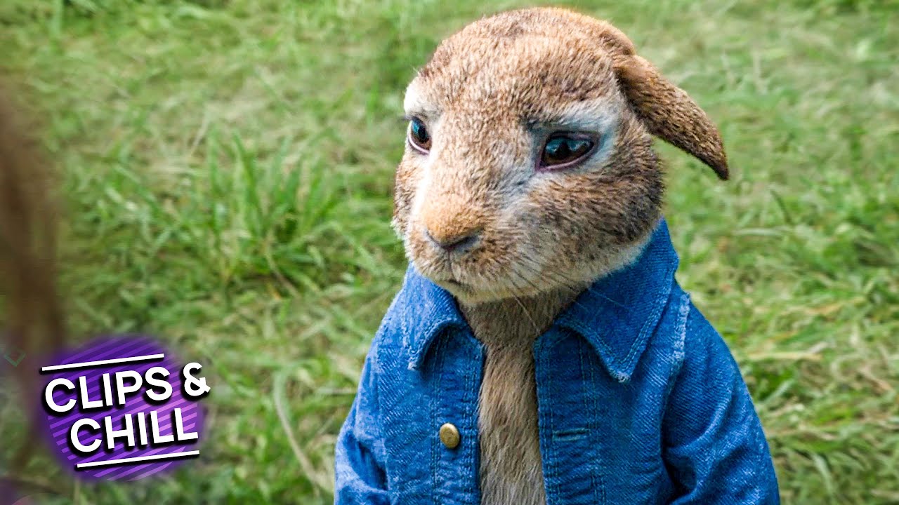 "Please Forgive Me" Emotional Scene! | Peter Rabbit | Clips & Chill ...