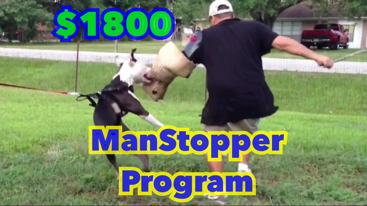 Manstopper Training Program Details - YouTube