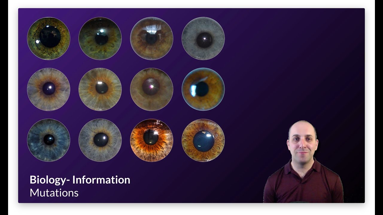K-Bio Information 5: Mutations - YouTube