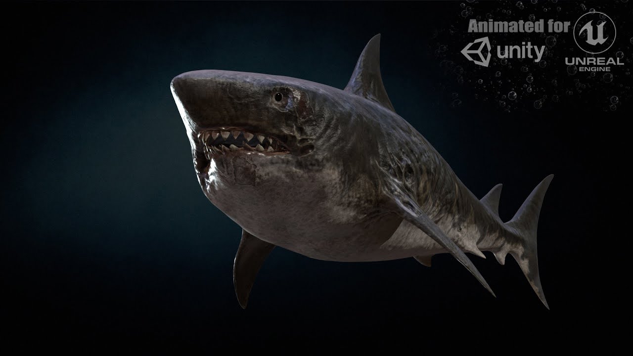 Alien Shark 3 Video Preview - YouTube