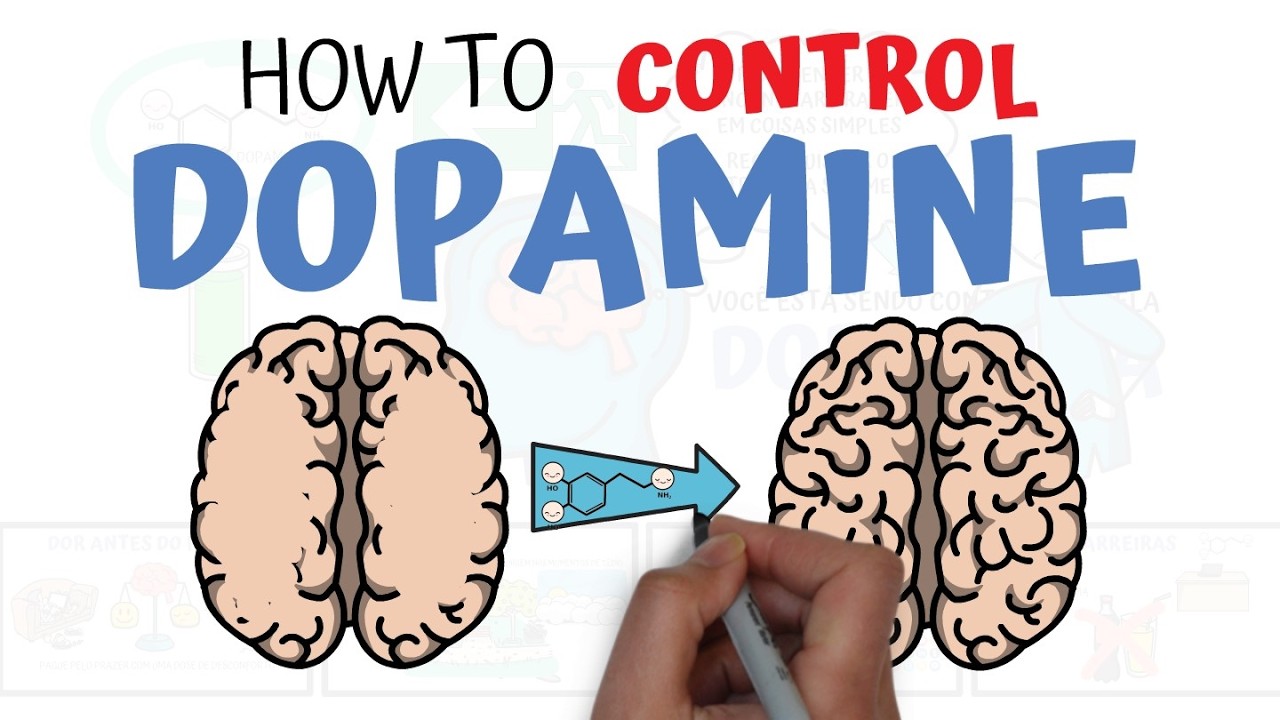 How to Control Dopamine - YouTube