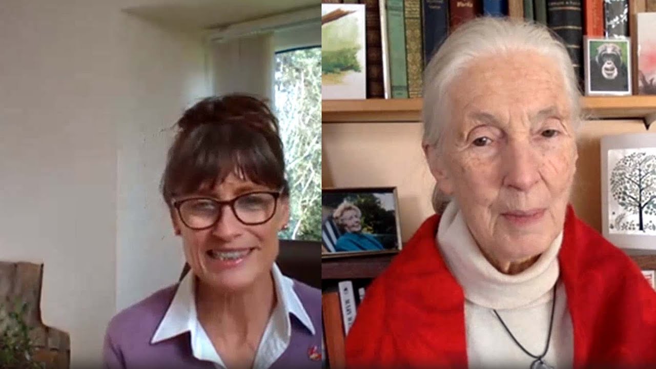 Jane Howorth Interview With Dr Jane Goodall - YouTube