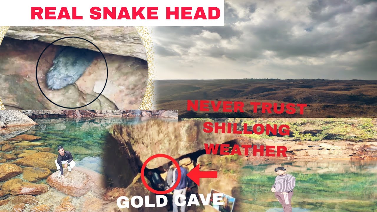 REAL SNAKE HEAD || GOLD CAVE IN SHILLONG SA 65 KM DUR HA OO - YouTube