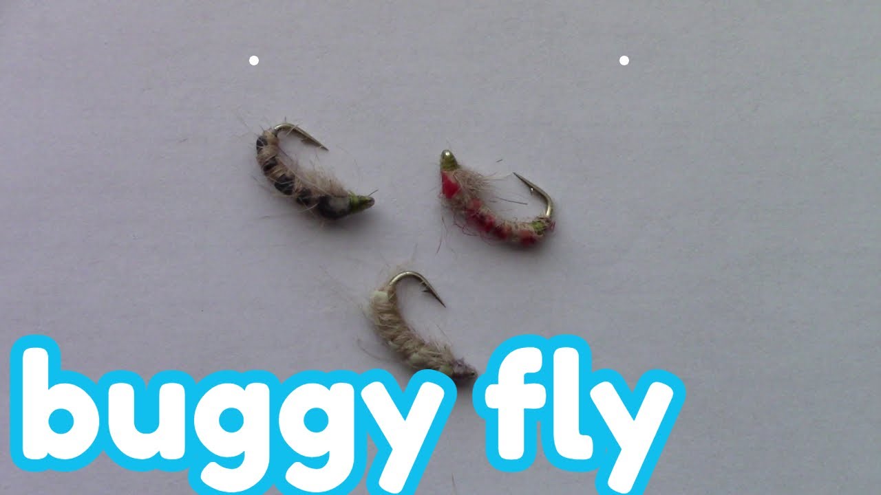 Buggy pupa fly - YouTube