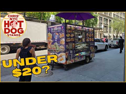 Trying to spend under $20 on Street Food!  | NYC Hot Dog Stands
