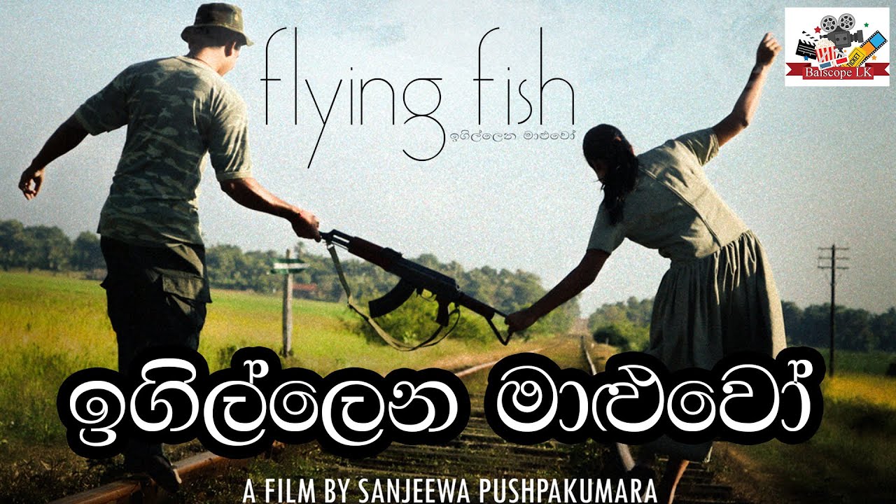 Flying Fish (ඉගිල්ලෙන මාළුවෝ) - Film Media Premiere - YouTube