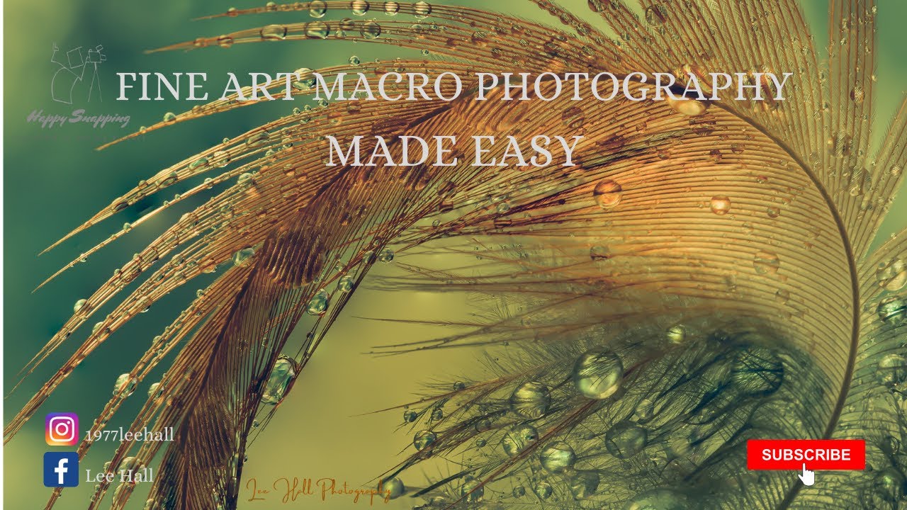 fine art feather photography - YouTube