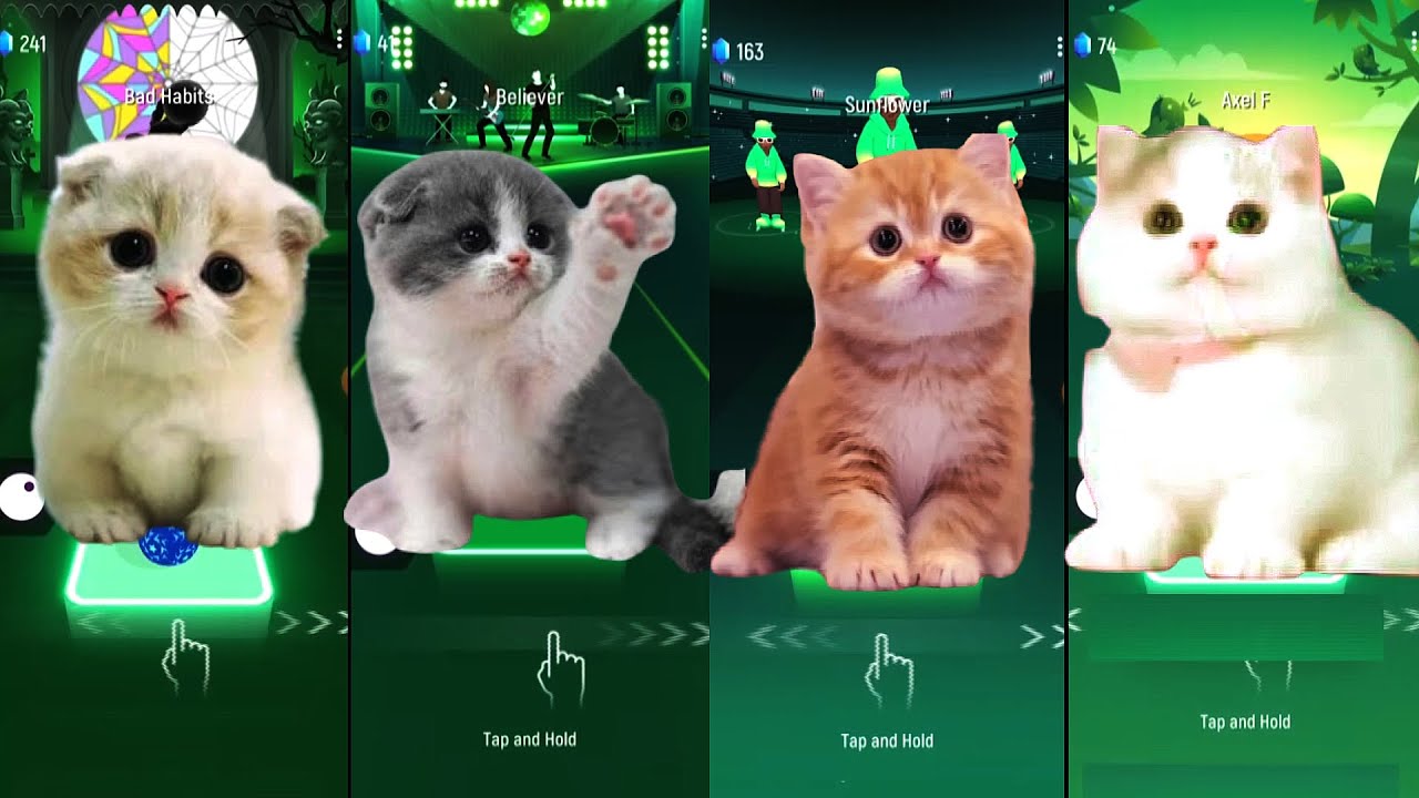 All Cute Cats - Bongo Cat _ Mariah Carey 🆚 Doja Cat 🆚 Savage Love 🆚 K ...