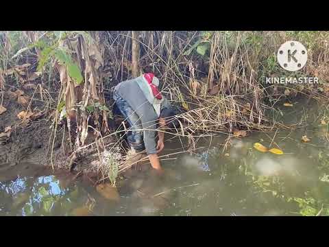 day fishing/native hito/ bulig - YouTube