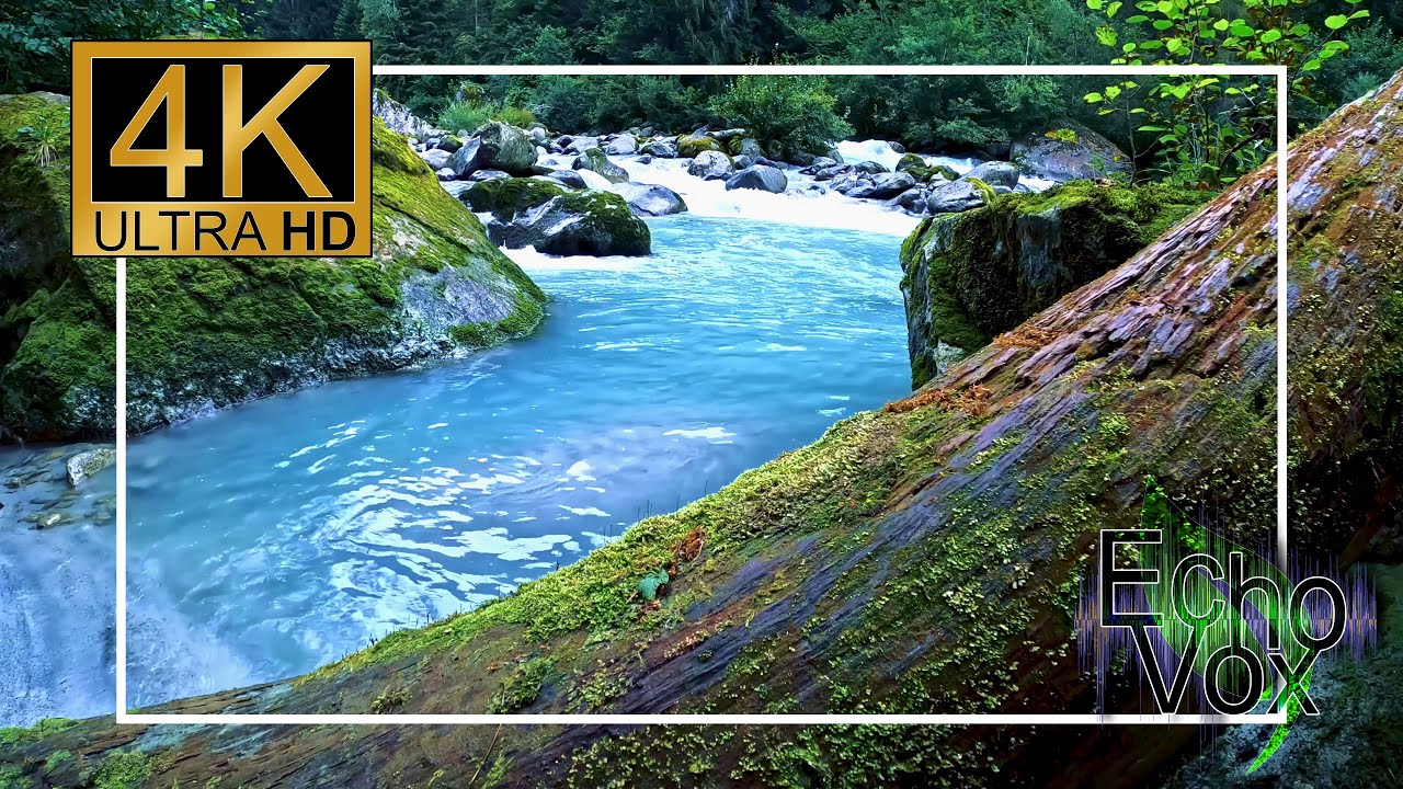 Hidden Forest River: 4K Nature Relaxation with Pristine Blue Waters ...