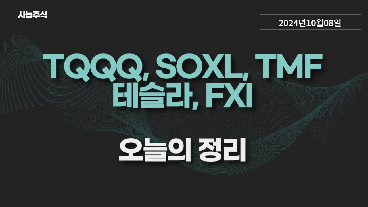 TQQQ, SOXL, TMF, 테슬라, FXI 오늘의 정리 - YouTube