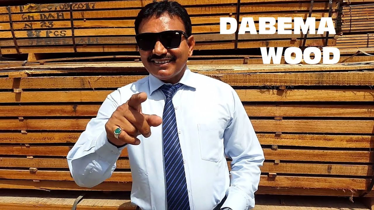 EP-05 DABEMA Timber Market - video profile HINDI - YouTube