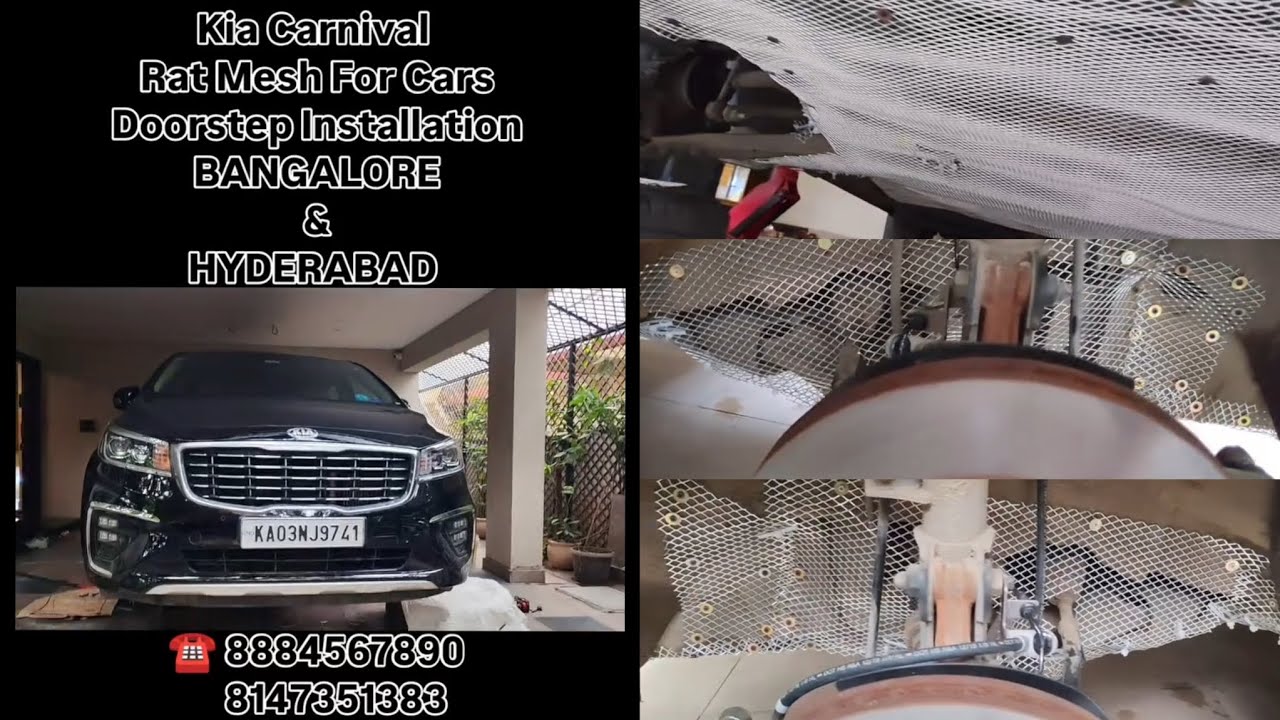 Kia Carnival / Rat mesh for cars | Door step installation | ☎️ ...
