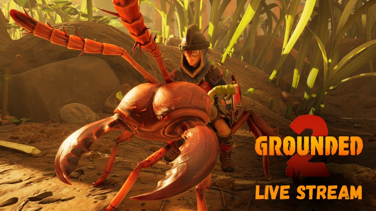 Grounded 2 LIVE | Epic Co-Op Survival Adventure with Friends - YouTube