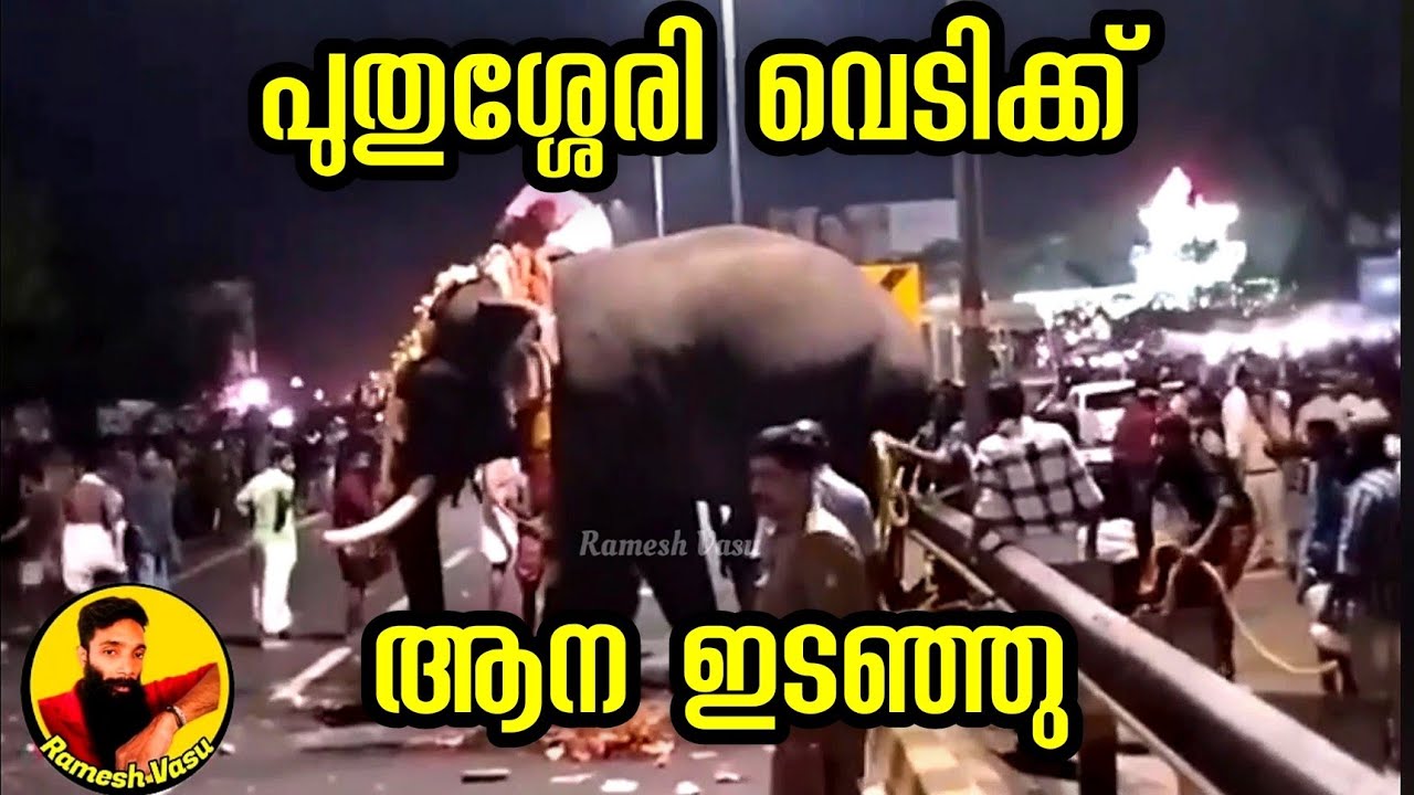 Pudussery Vedi 2023 | Elephant Attack Pudussery Vedi | Puthussery vedi ...