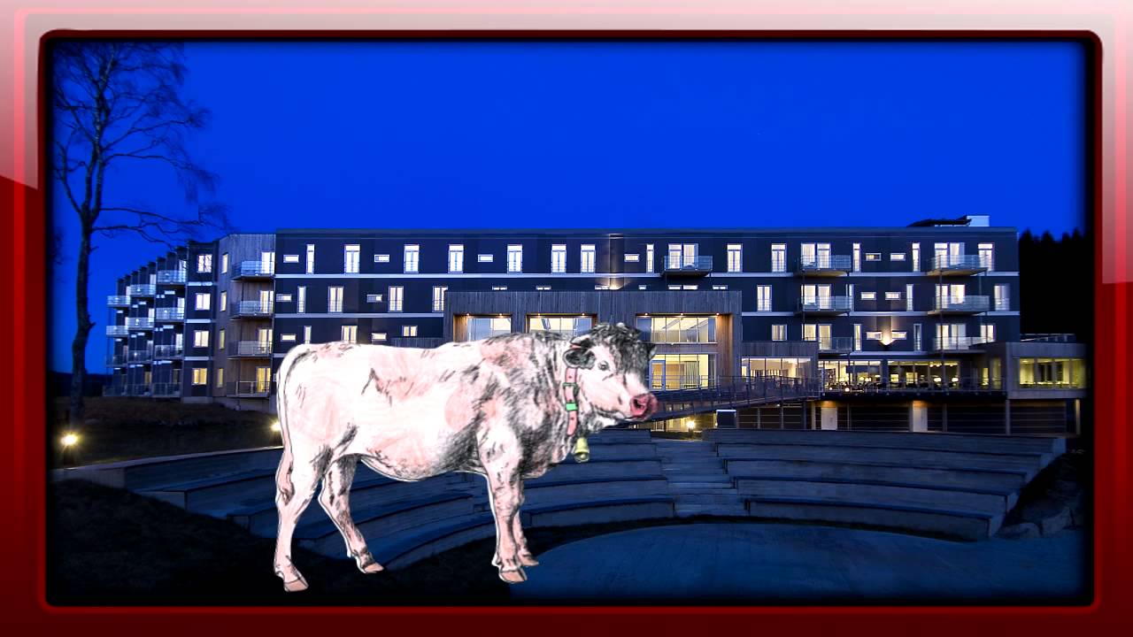 Sunde skole 6c og 6d - YouTube