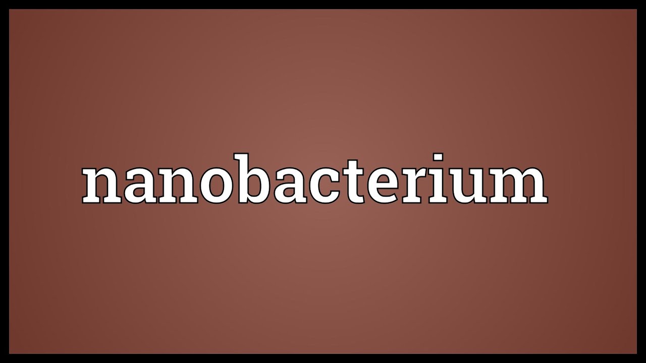 Nanobacterium Meaning - YouTube
