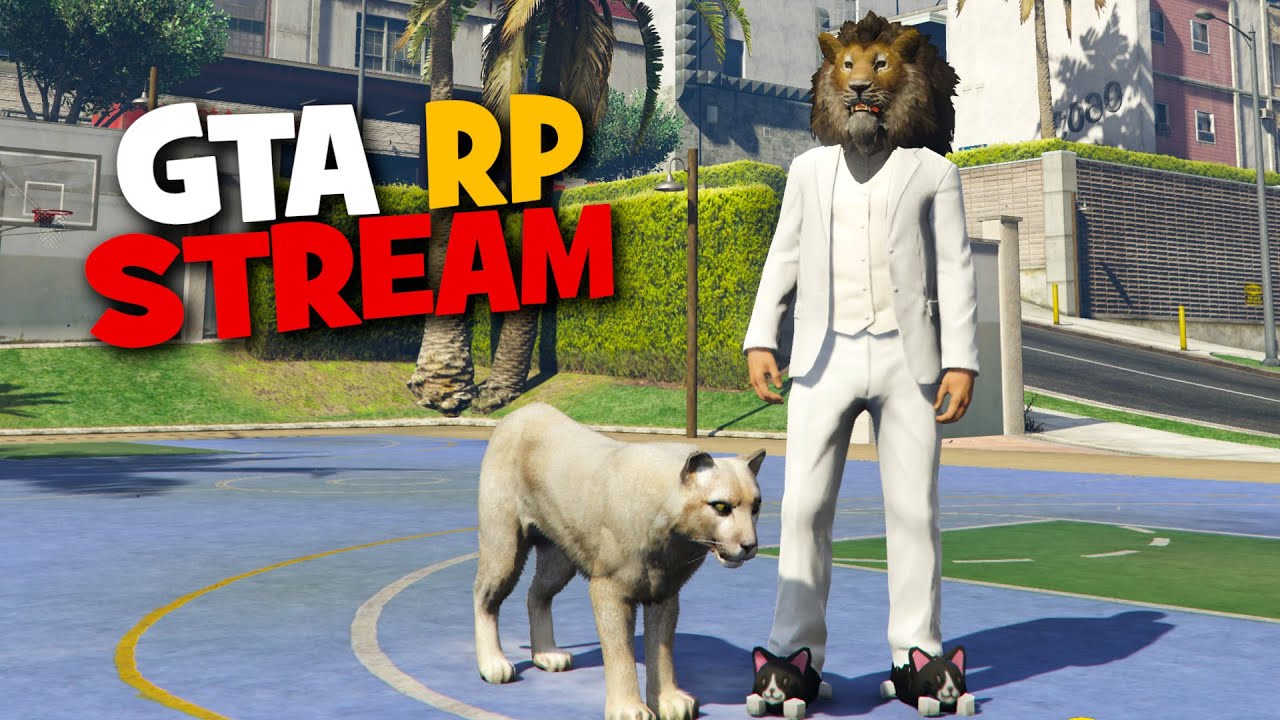 Buying a Plane in Grand RP 🐱 Stream - YouTube
